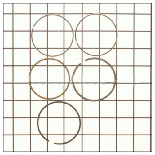 Briggs & Stratton Engine 797220 Ring Set - Farm Parts Store